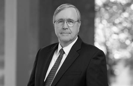 The BVA Group Leadership and Team