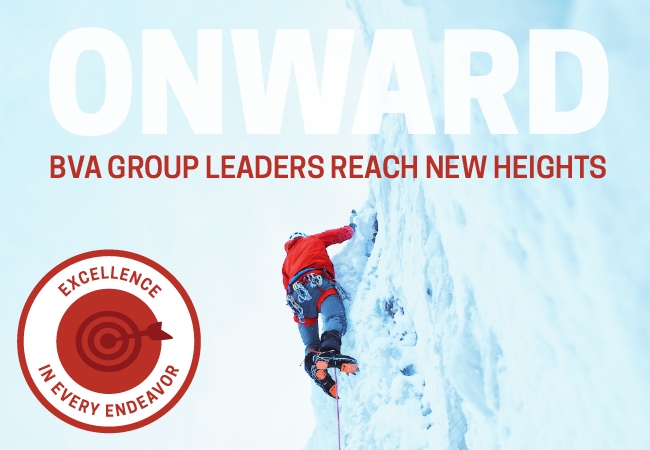 News and Publications from the BVA Group